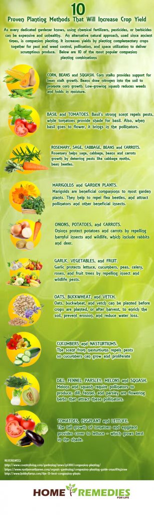 10 Proven Planting Methods That Will Increase Crop Yield