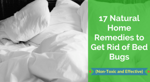 17 Natural Home Remedies to Get Rid of Bed Bugs (Non-Toxic and Effective)