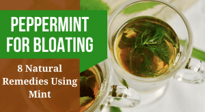 Peppermint for Bloating (8 Natural Remedies Using Mint)