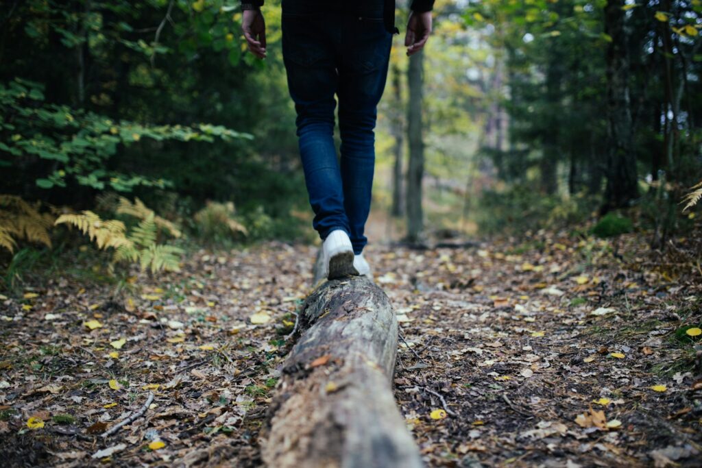"Finding Peace in the Path: A Guide to Nature Walk Meditation"